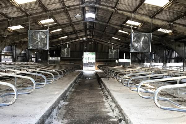 Agricultural Ventilation - 1803 Ltd